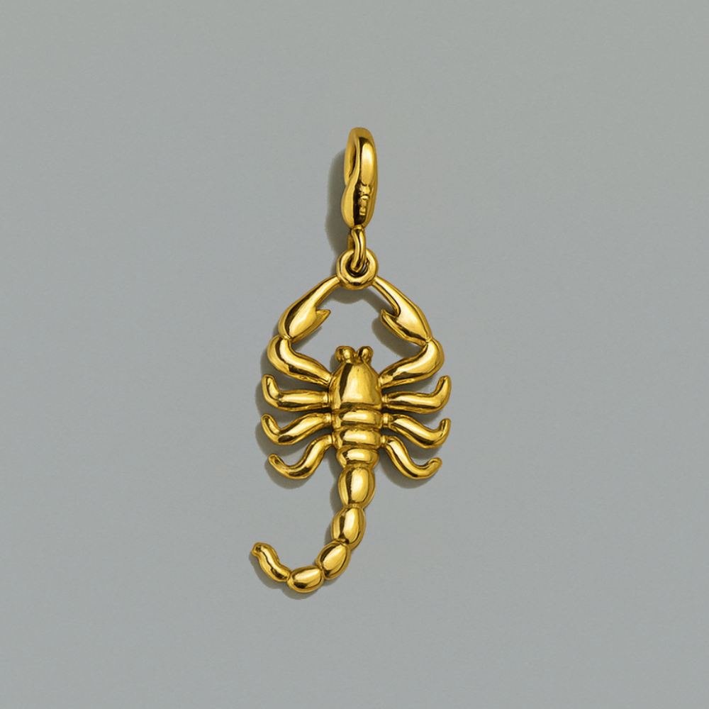 Charm Scorpion | En acier collier & bracelet personnalisé – LILLOUBELLA ...